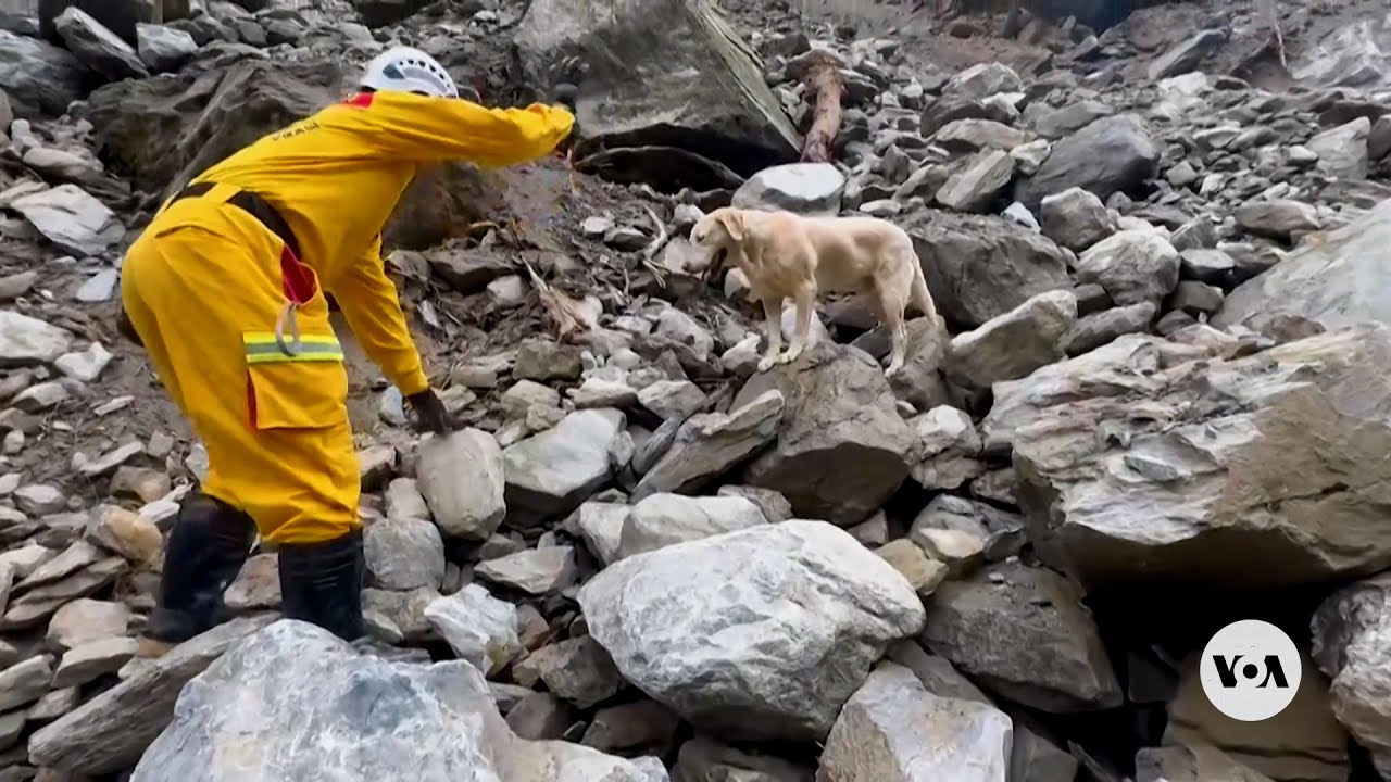 Taiwan's search dogs lauded for locating earthquake victims | VOA News ...