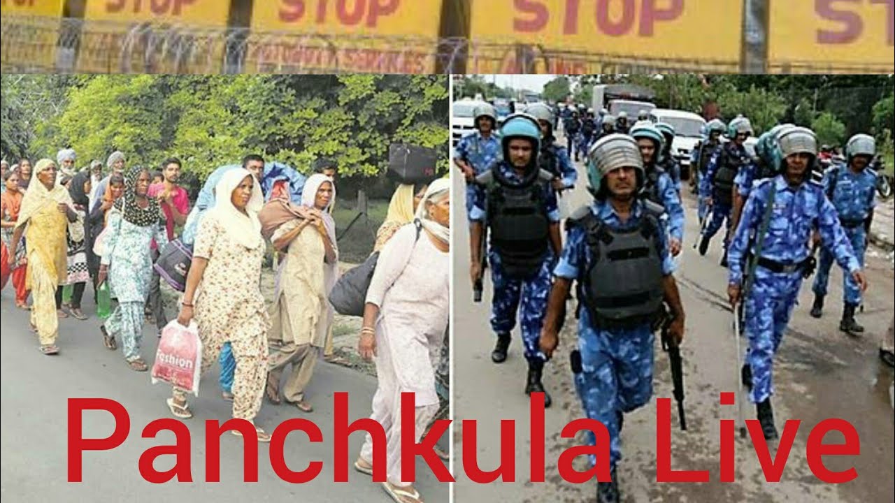 Panchkula Live - YouTube