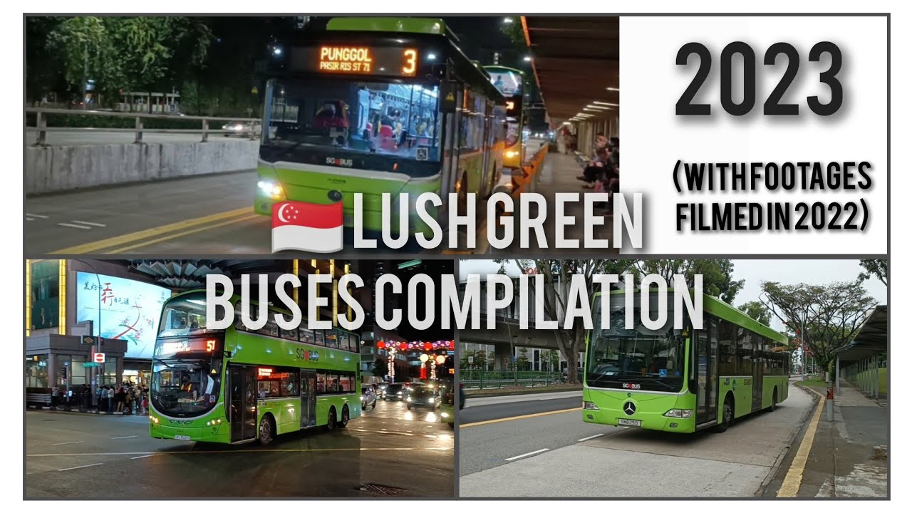 🇸🇬 Lush Green Buses Compilation, 2023 - YouTube