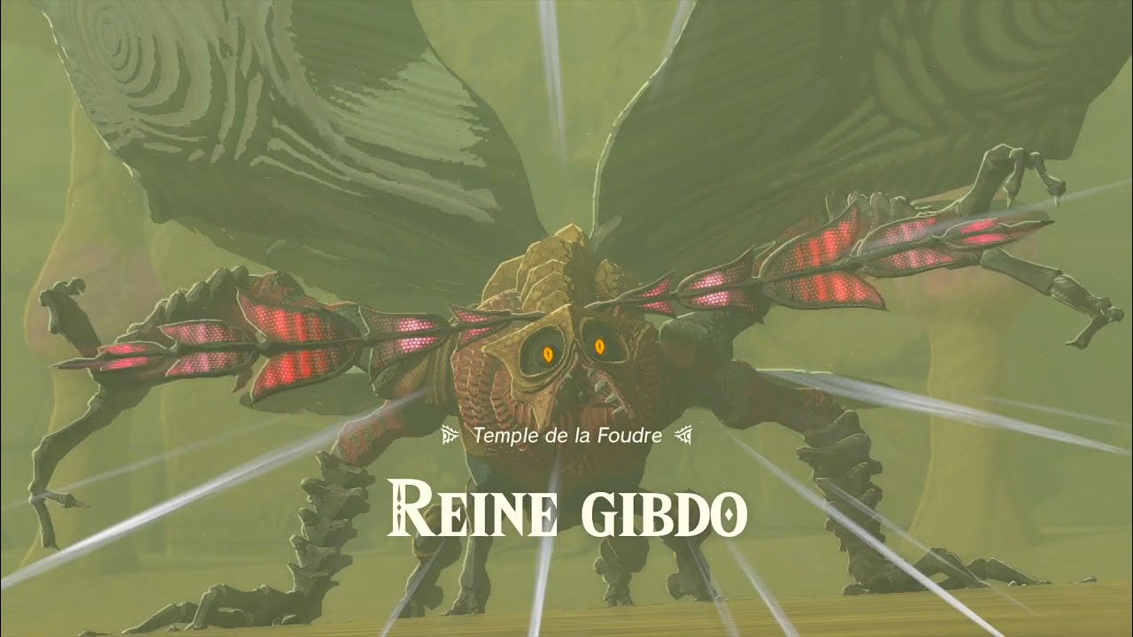 Comment battre la Reine Gibdo dans Zelda: Tears of the Kingdom - YouTube