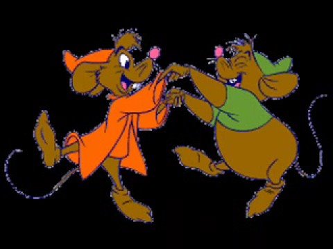 Jaq an Gus Da tightest rats Ever!