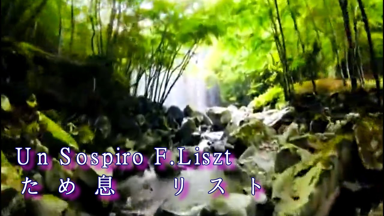 リスト Liszt/「ため息」"Un Sospiro" /3つの演奏会用練習曲 S.144 第3番 変ニ長調 / Trois Etudes ...