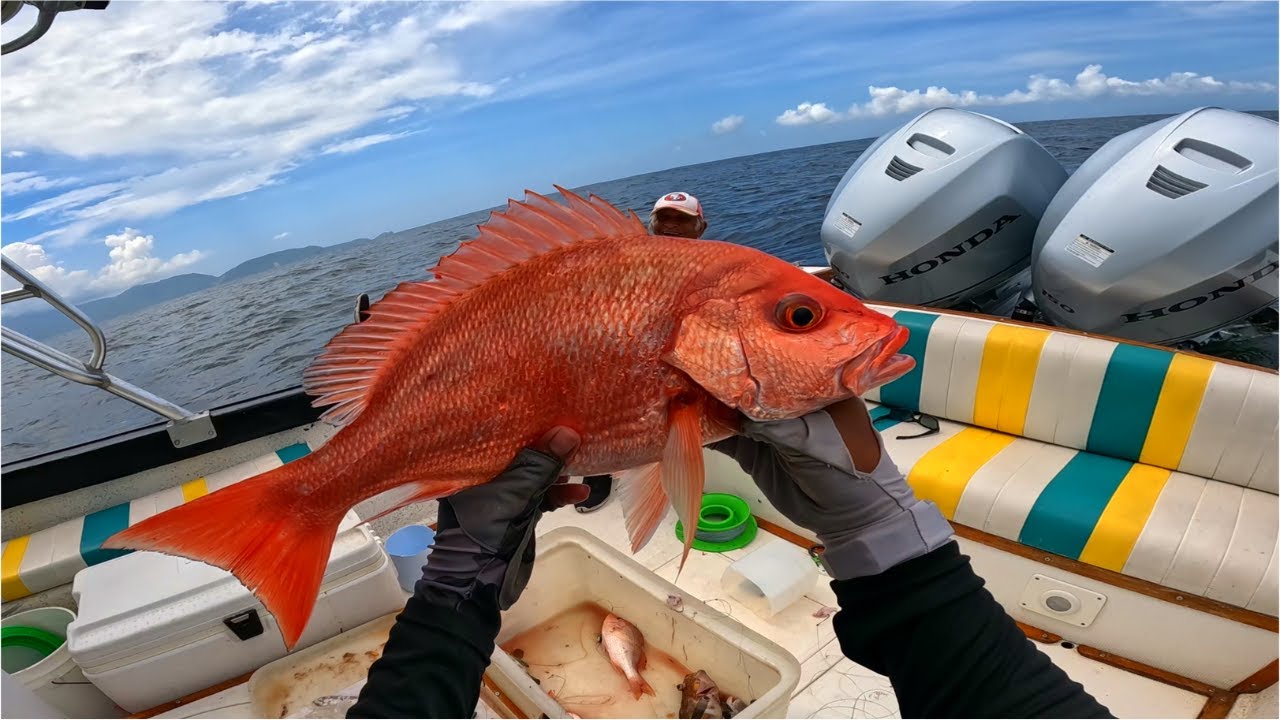 TRADITIONAL HANDLINE FISHING FOR SNAPPER & GROUPER - DOWN THE ISLANDS ...