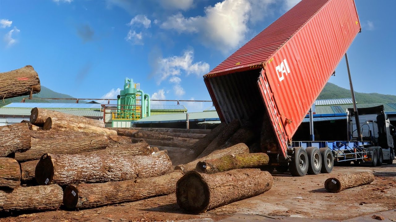 Amazing Large Sawmill Work Process. Raw Wood Processing Plant in South ...