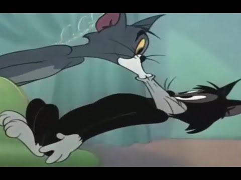 Tom and Jerry - Casanova Cat - [ T&J Movie ] - YouTube