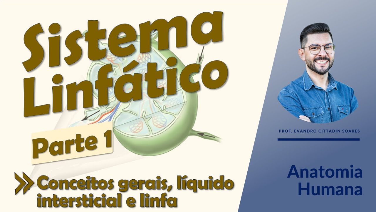 Sistema Linfático - Aula 01 - Conceitos gerais, líquido intersticial ...