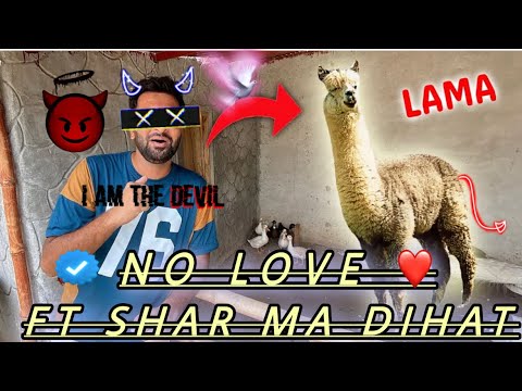 No love ft shar ma Dihat 😍 \ SSGUL /Sharaf GUL \Sarim GUL plz subscribe ...