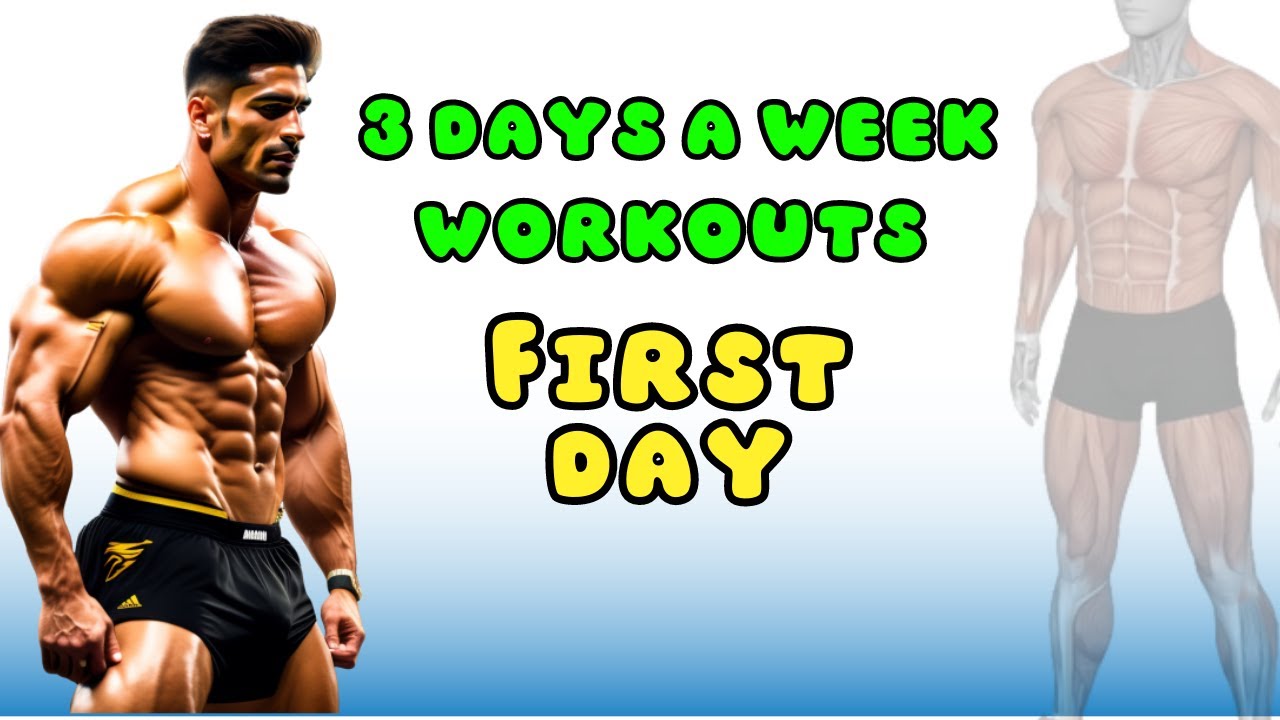 3 days a week Full body workouts | first day | Chest Shoulders Biceps ...