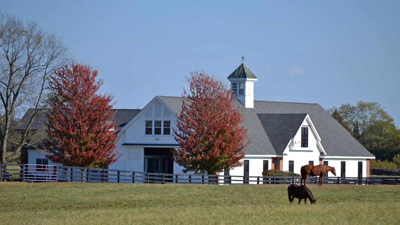 A New Day for Watershed Equine - YouTube