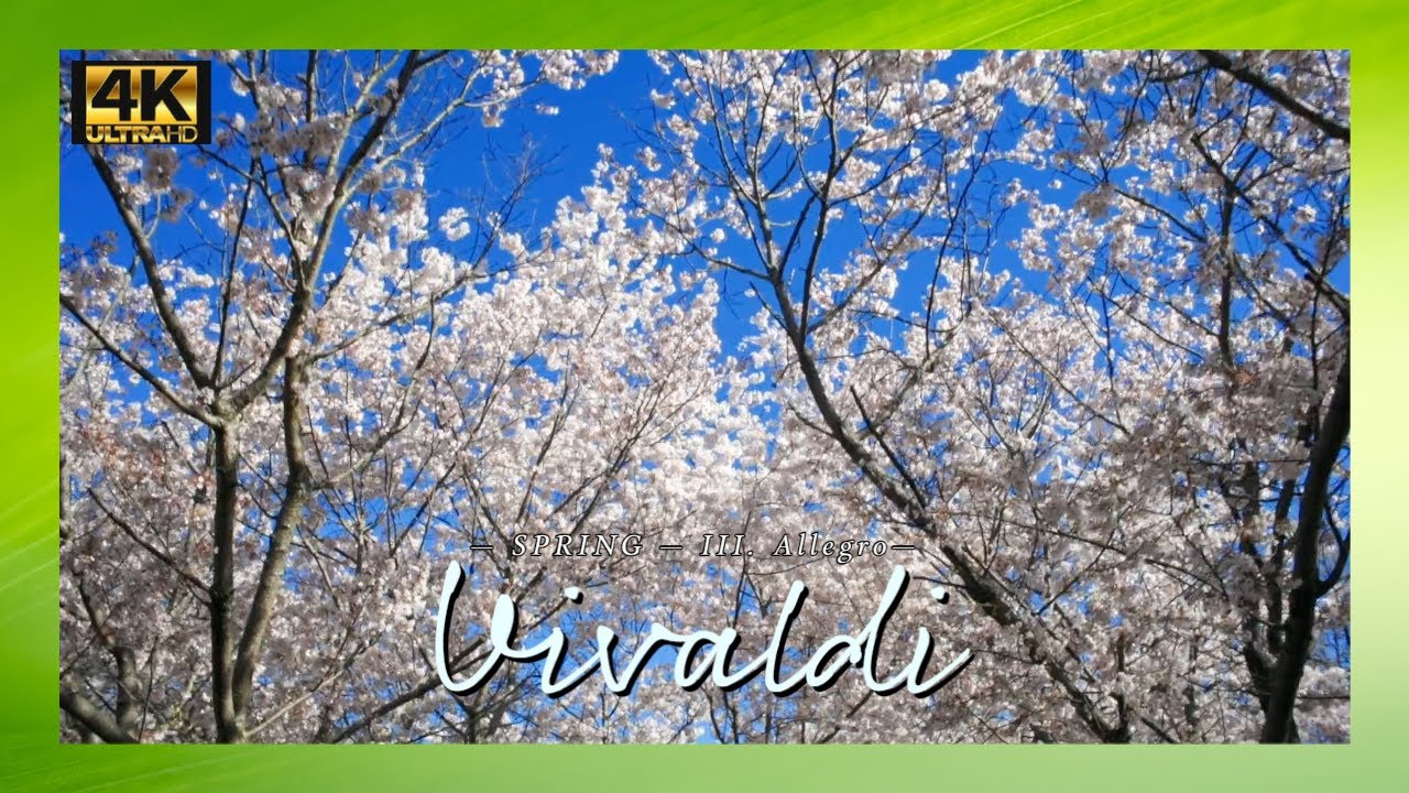 🎶 Vivaldi - Spring III. Allegro - The Four Seasons 🎻 Antonio Vivaldi ...