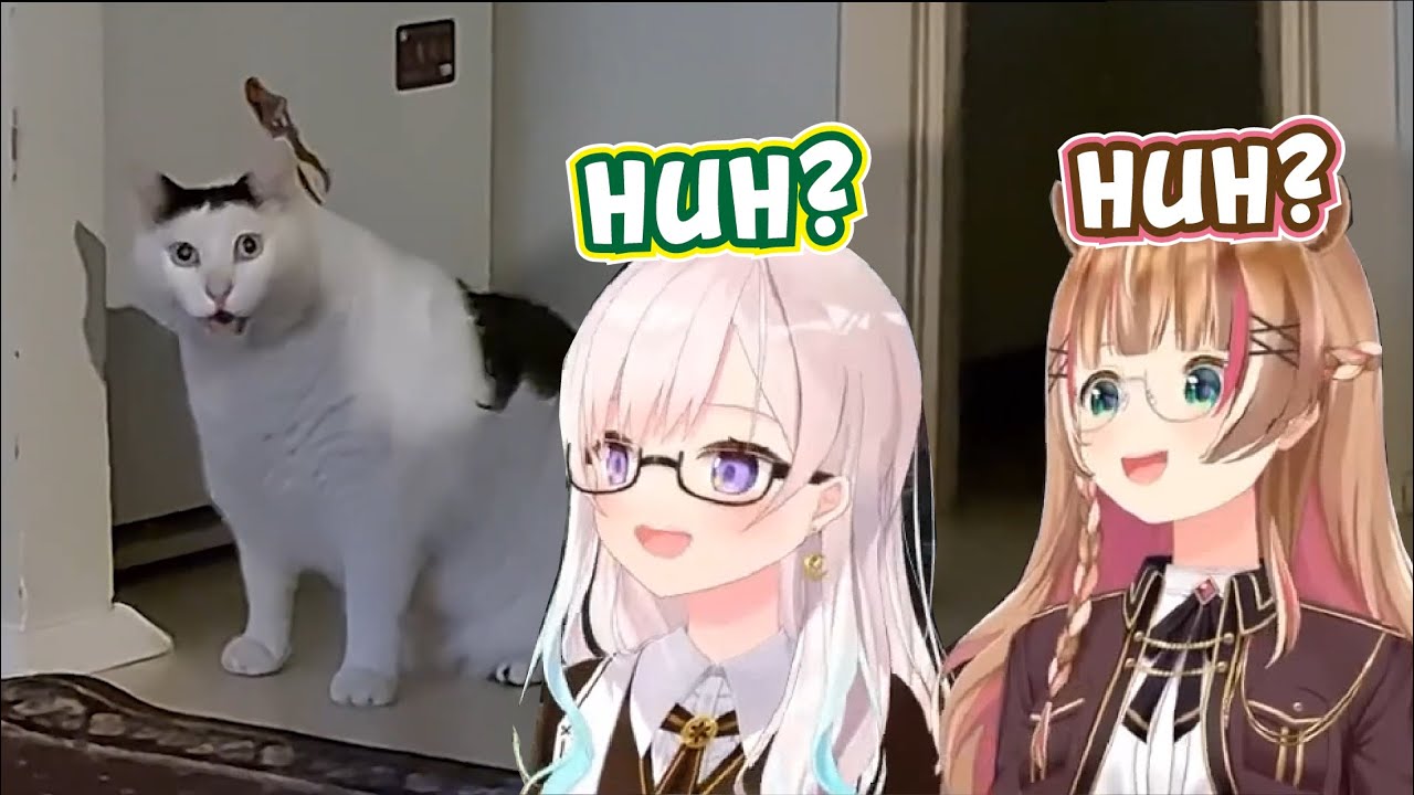 Risu & Iofi Kayak Kucing Bingung Huh Kalo Main Moba - YouTube