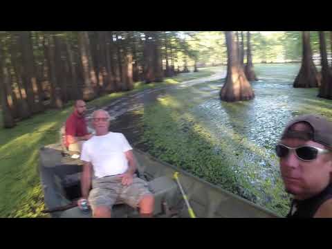 JAY COUGAR Quick video of our gator hunt in Louisiana