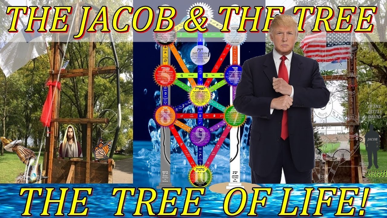 THE JACOB THAT HAS THE TREE IS THE LITTLE DAVID & FREE ENERGY IS THE ...