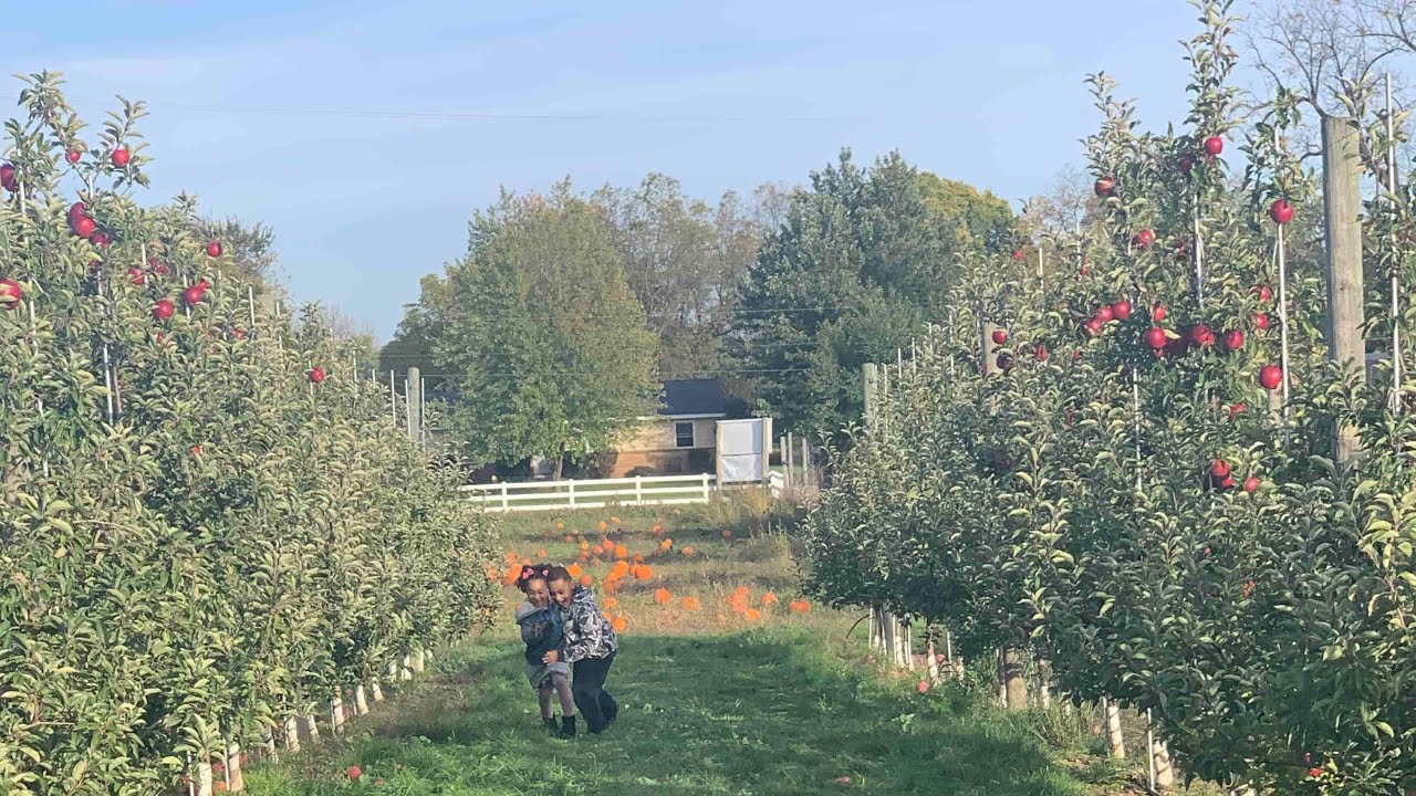 Going to the pumpkin patch/apple orchard - YouTube