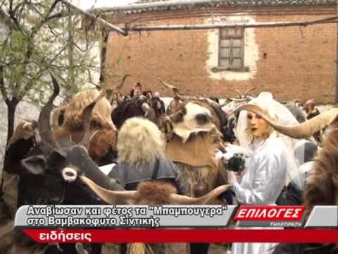 ΟΙ ΜΠΑΜΠΟΥΓΕΡΟΙ ΣΤΟ ΒΑΜΒΑΚΟΦΥΤΟ - YouTube