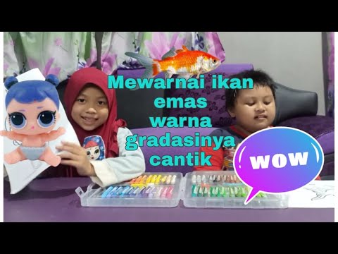 Mewarnai ikan emas dengan gradasi warna cantik - YouTube
