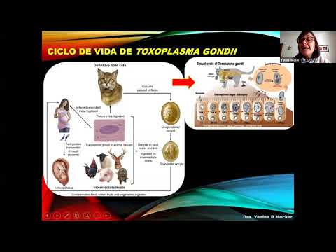 EEA SANTIAGO Curso de sanidad y reproducción caprina Clase 3 - YouTube