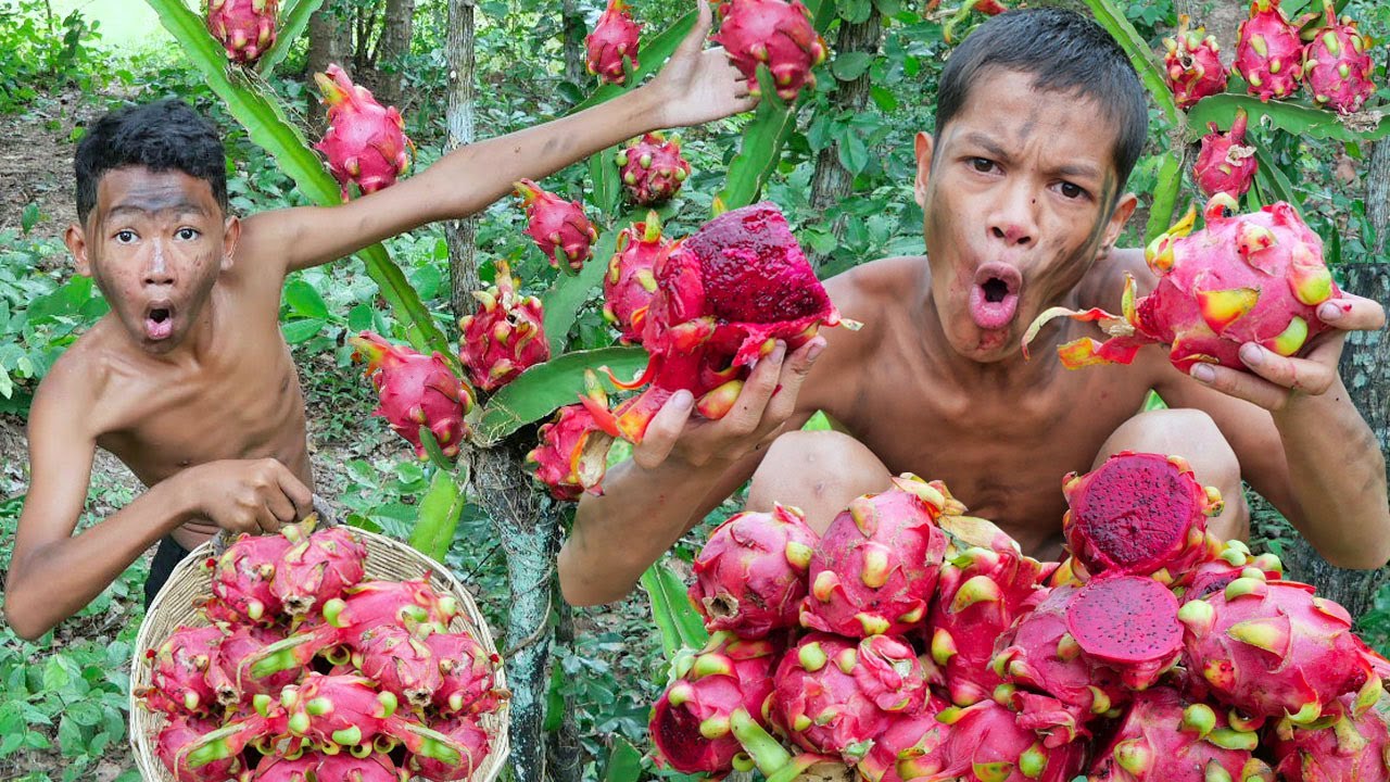 Survival in the rainforest - Eating rich fruit delicious - YouTube