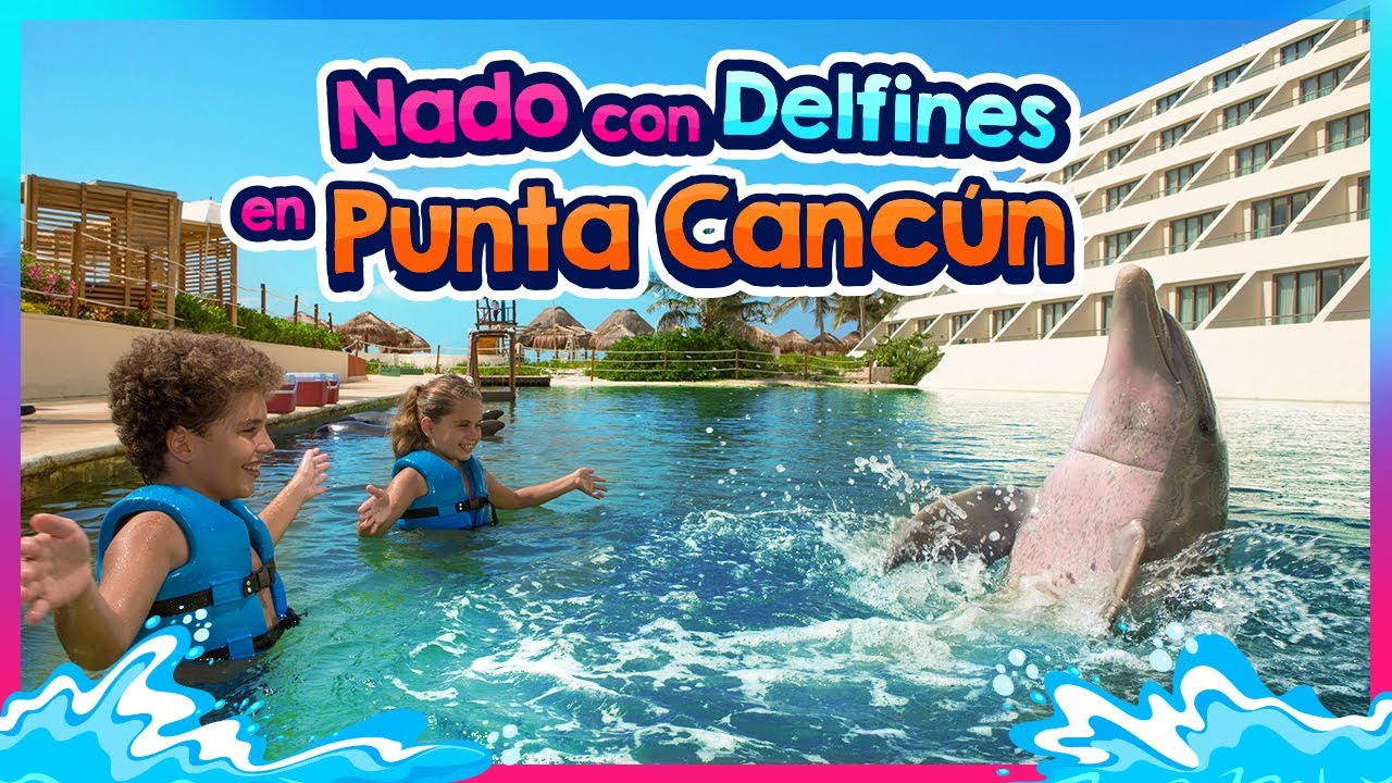 Nado con delfines en Punta Cancún #ZonaHotelera l Delphinus - YouTube