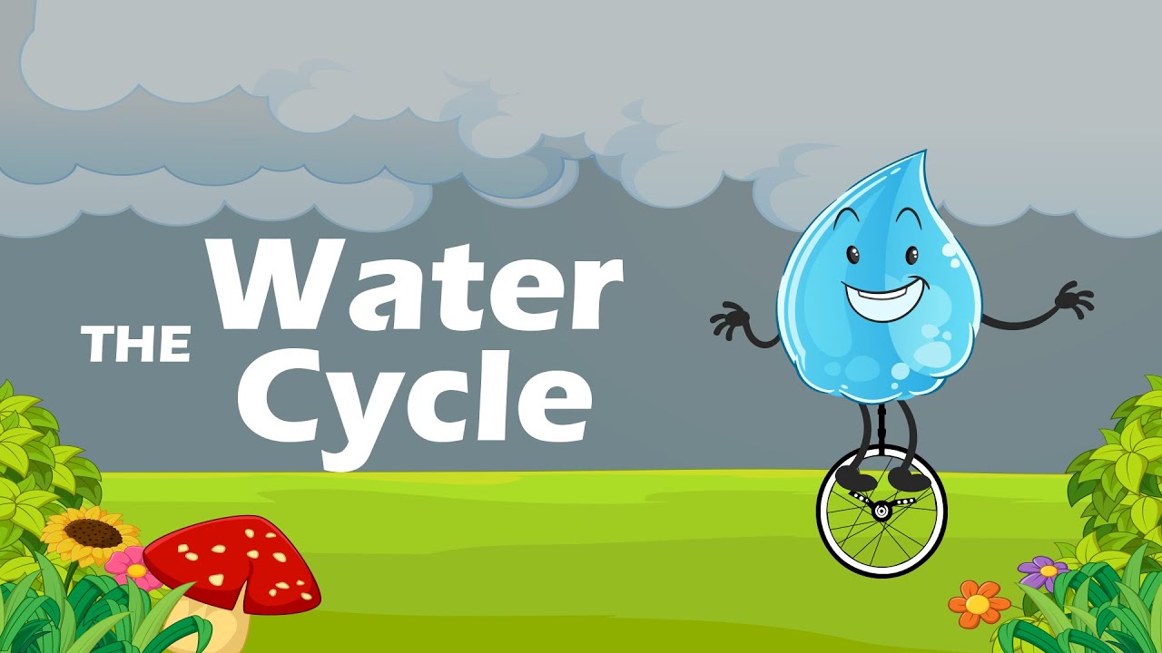 The Water Cycle Song | Science Songs | Little Poppy Tales Kids Songs ...