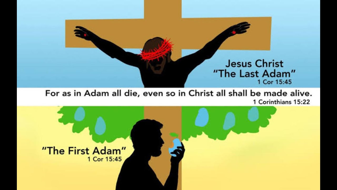 The Nature Of The First And The Second Adam | Rev. Rudolph K. Roberts ...
