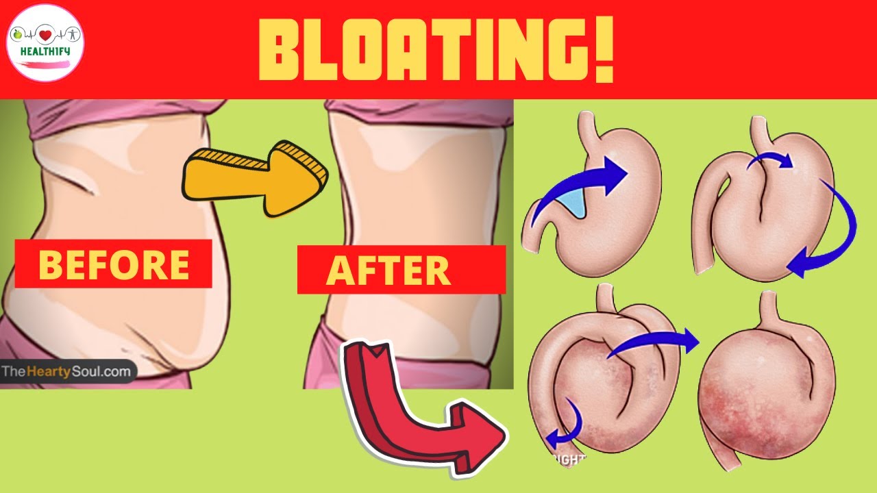 6 tips to avoid bloating | feeling bloated | how to get rid of bloating 🤰🏼 - YouTube