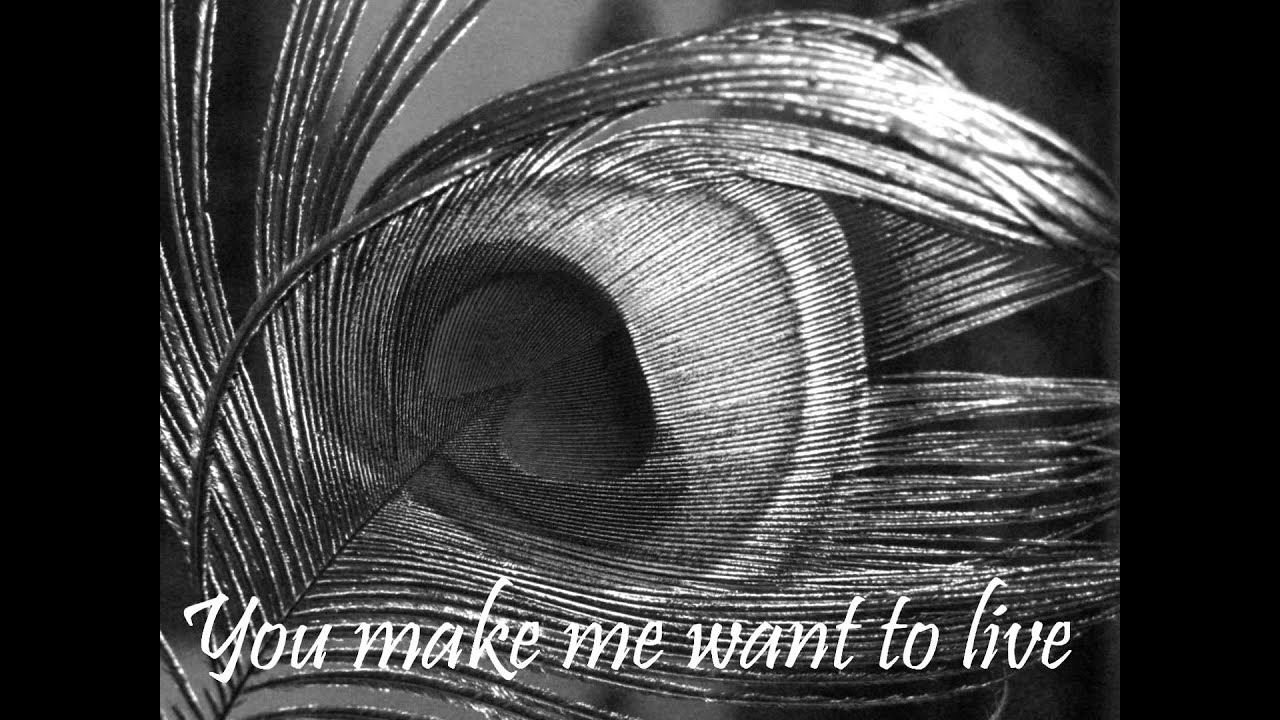 Fisher - You [Lyrics] - YouTube