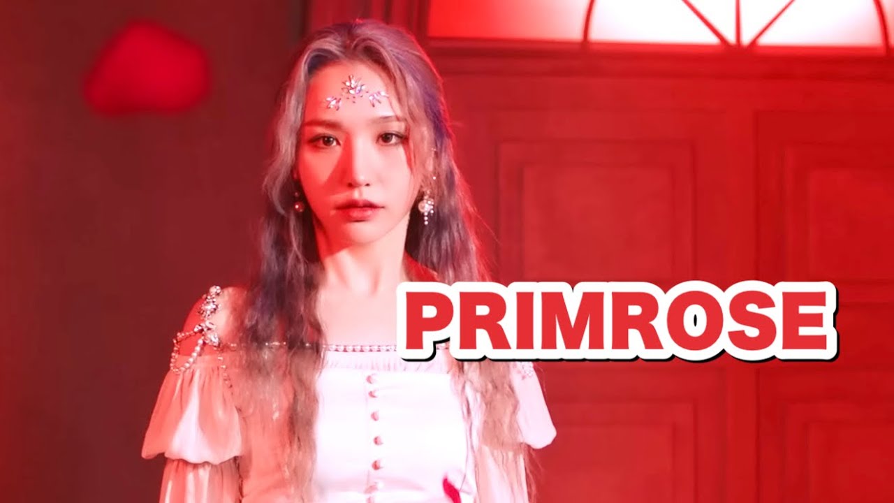 PRIMROSE / PRIMROSE 】カナルビ・歌詞 - YouTube Music