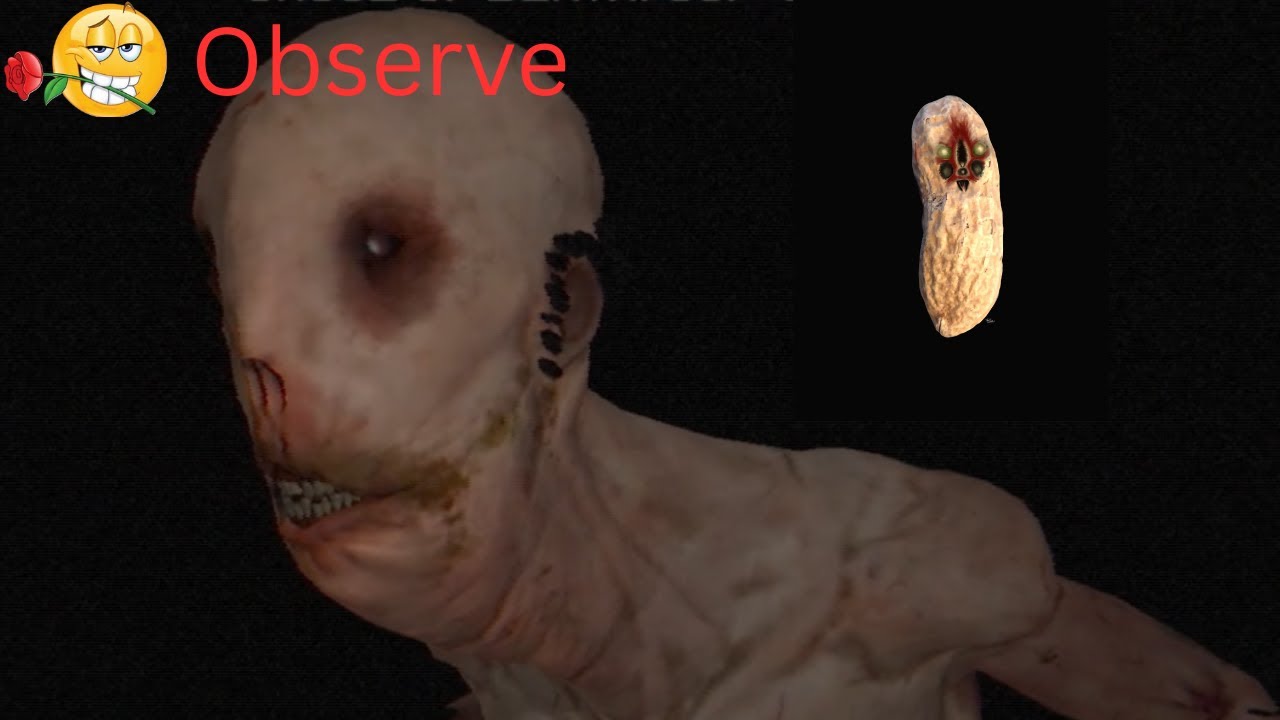 Harrassed by a chicken | scp observer | horrortober - YouTube