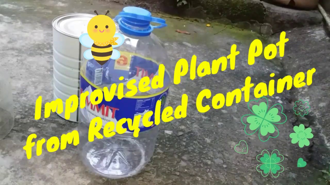 Improvised plant pot from recycled container - YouTube