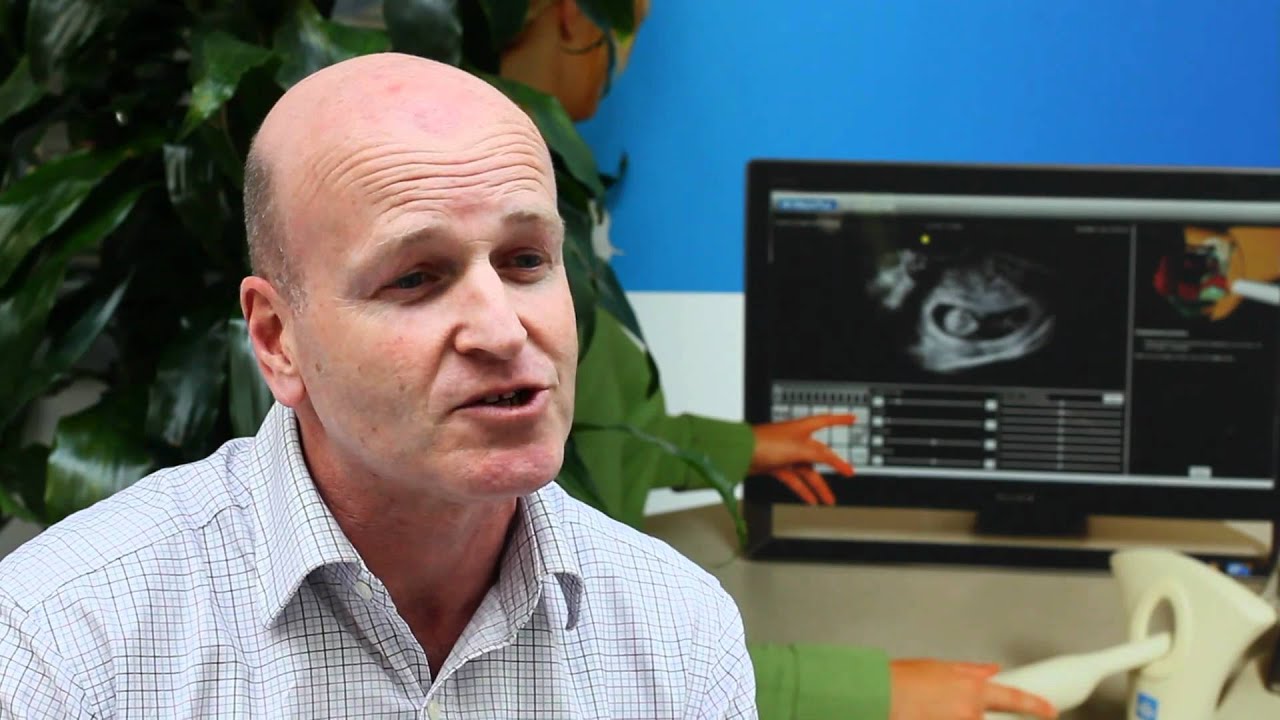 Stuart Gall, CEO of MedaPhor - YouTube
