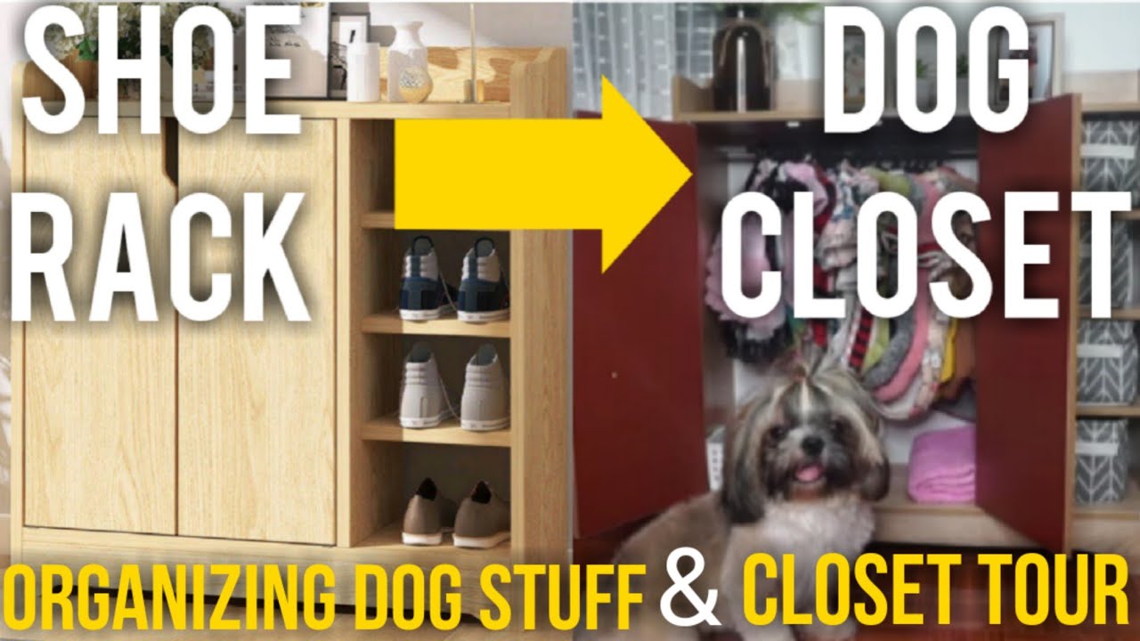 HOW I ORGANIZE MY DOGS CLOSET | ORGANIZING DOG STUFF | DOG CLOSET TOUR ...