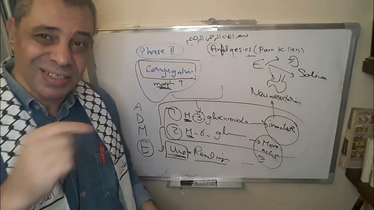Module 310 - Lecture 19 - Part 2: Opioid analgesics- morphine. - YouTube