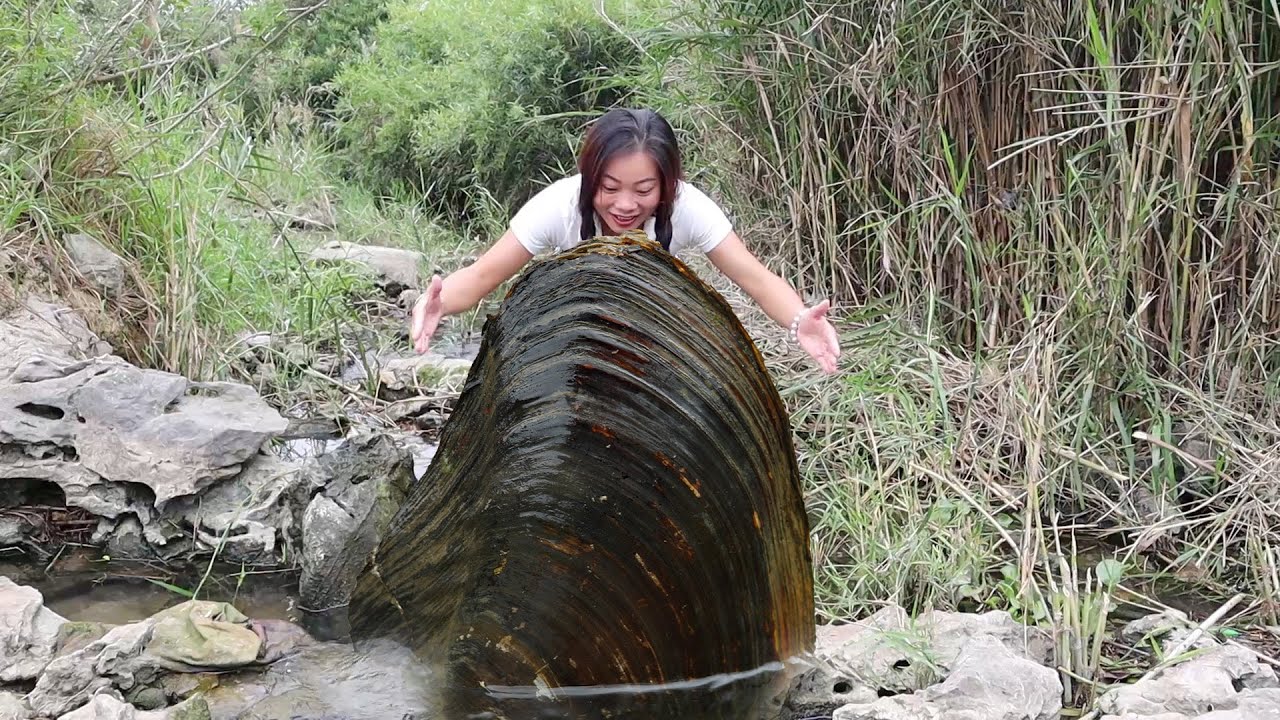 😲🐚 River Surprise Awaits: Girl Finds Mutated Giant Clam with Rare and ...