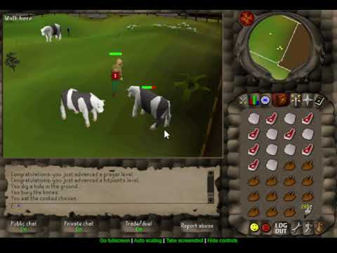 settling my beef with the cows! - RuneScape 2004 - YouTube