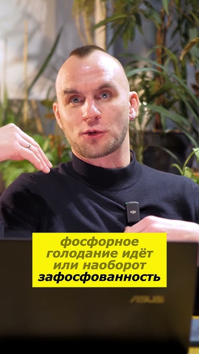 Как понять чего не хватает растению для роста Сад и огород