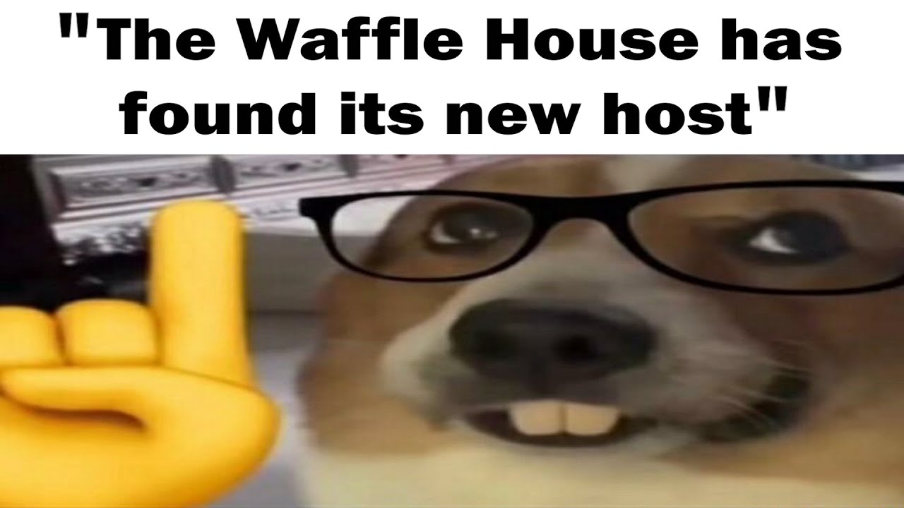 the waffle house has found its new host - YouTube