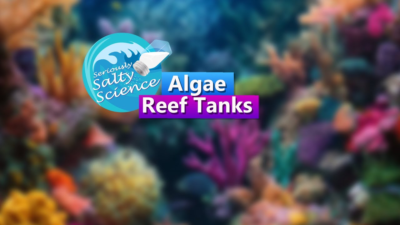 Algae and Reef Tanks - Seriously Salty Science Saltwater Reef Chat ...