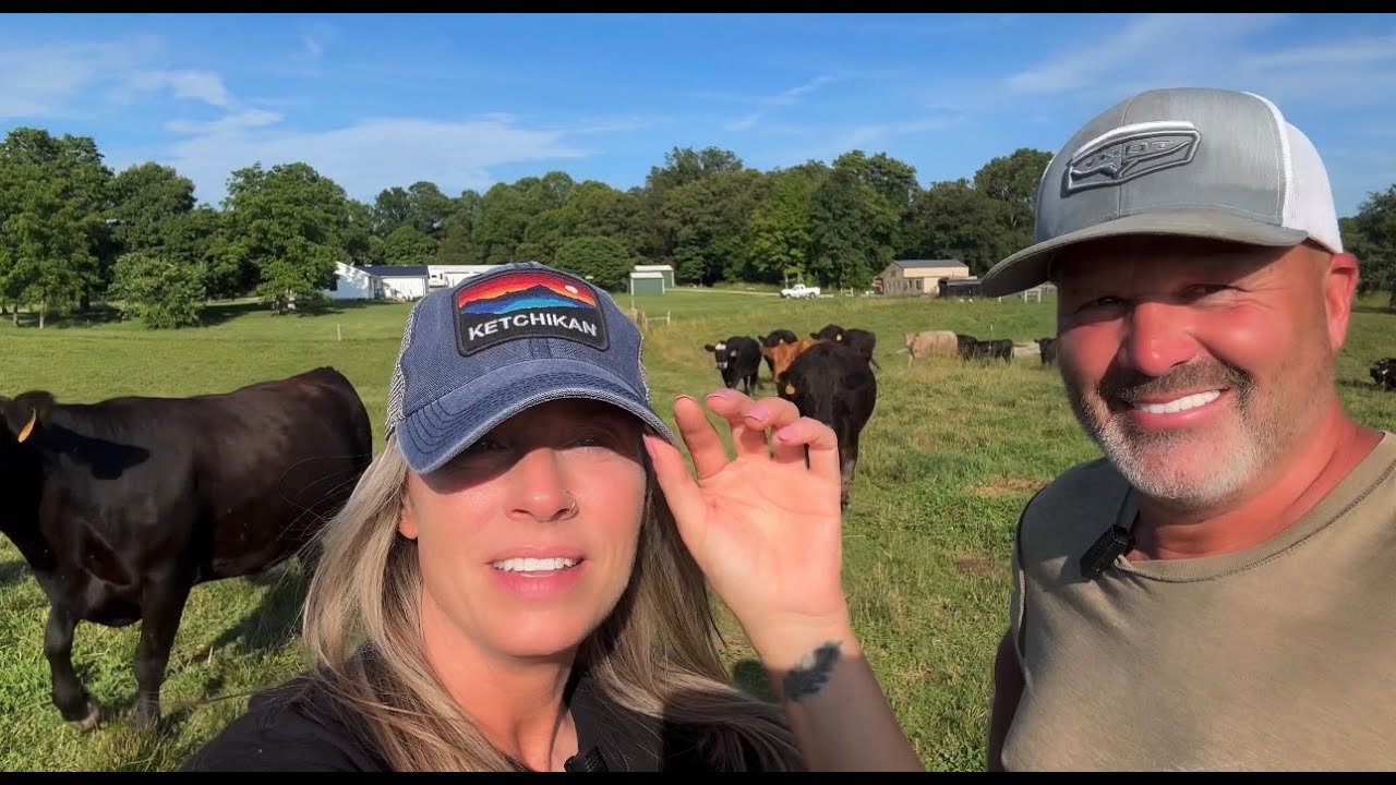It’s 95°—Here’s How We Keep Our Cows Cool! 🐂☀️ | Midwest Homesteading ...
