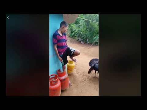 La Persona Mas Miedosa del Mundo | video viral - 2018 - YouTube