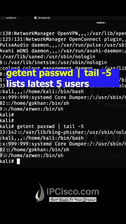 Best Linux User Linux Example!🔥🔥| Linux Admin | IPCisco.com #linux - YouTube