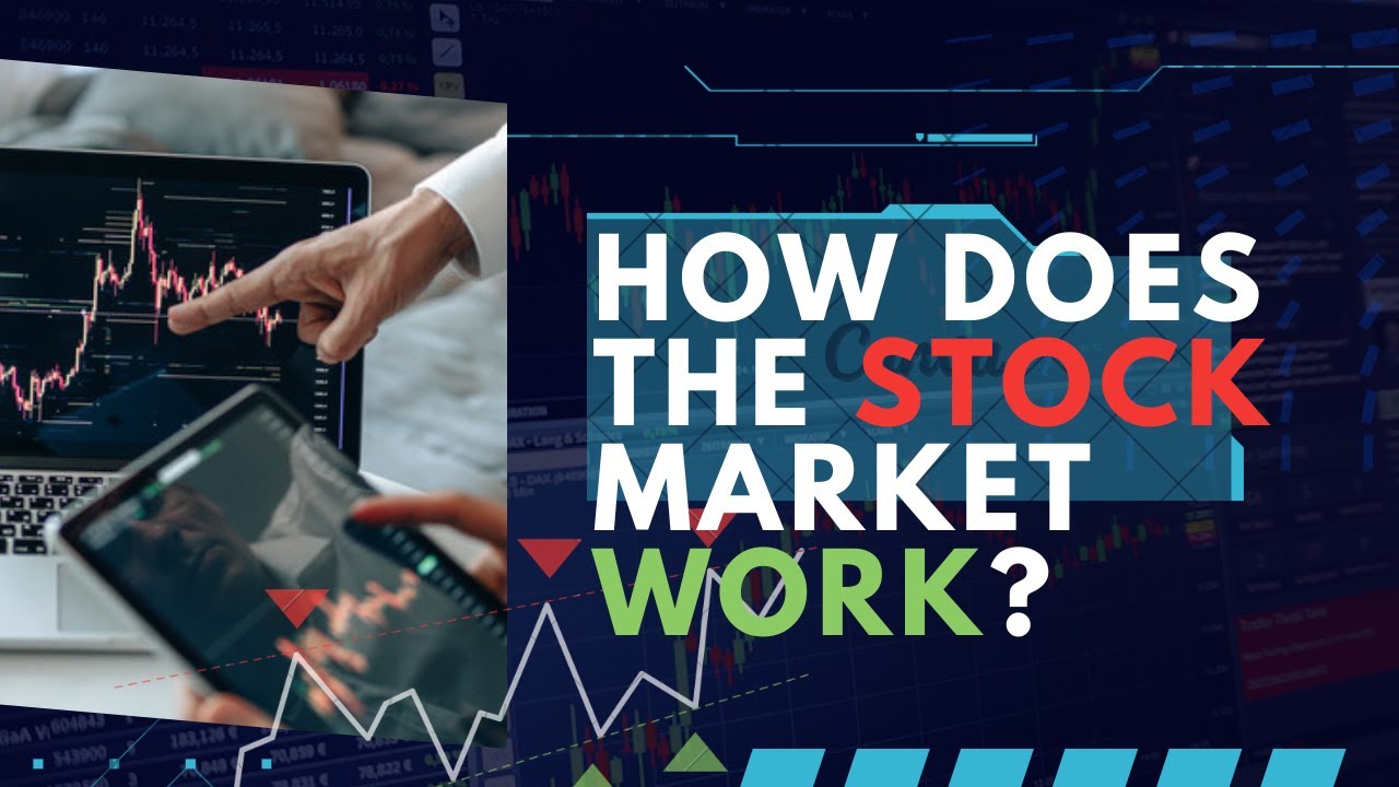 How Does the Stock Market Work? A Beginner's Guide - YouTube