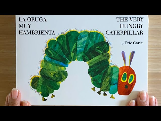 Oruga En Ingles