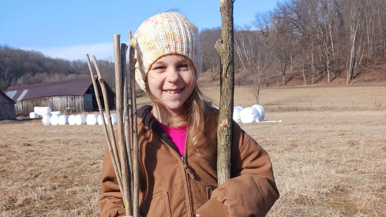 Creating a Bow and Arrows from the same Bush! #hunting #survival #primitive - YouTube
