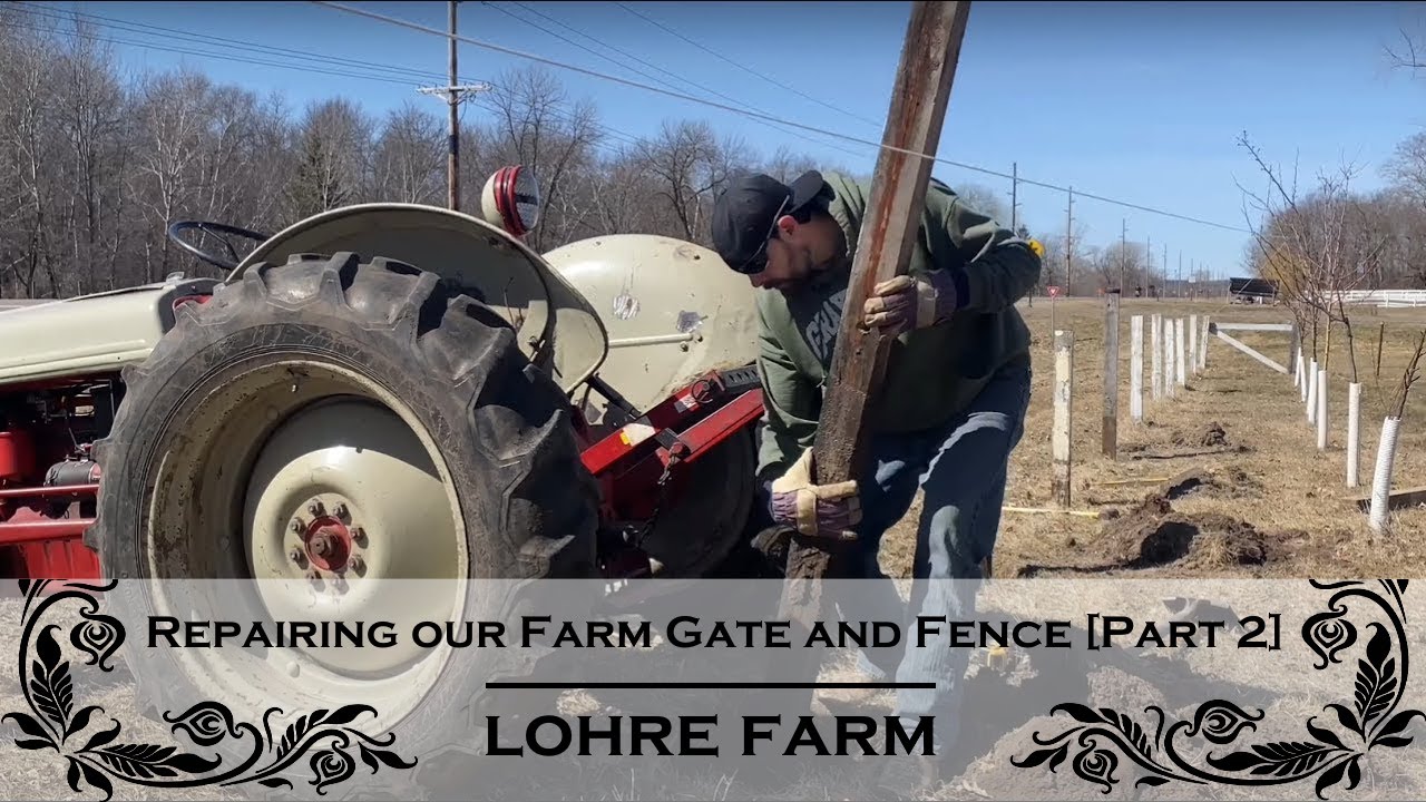 Repairing our Farm Gate and Fence [Part 2] - YouTube