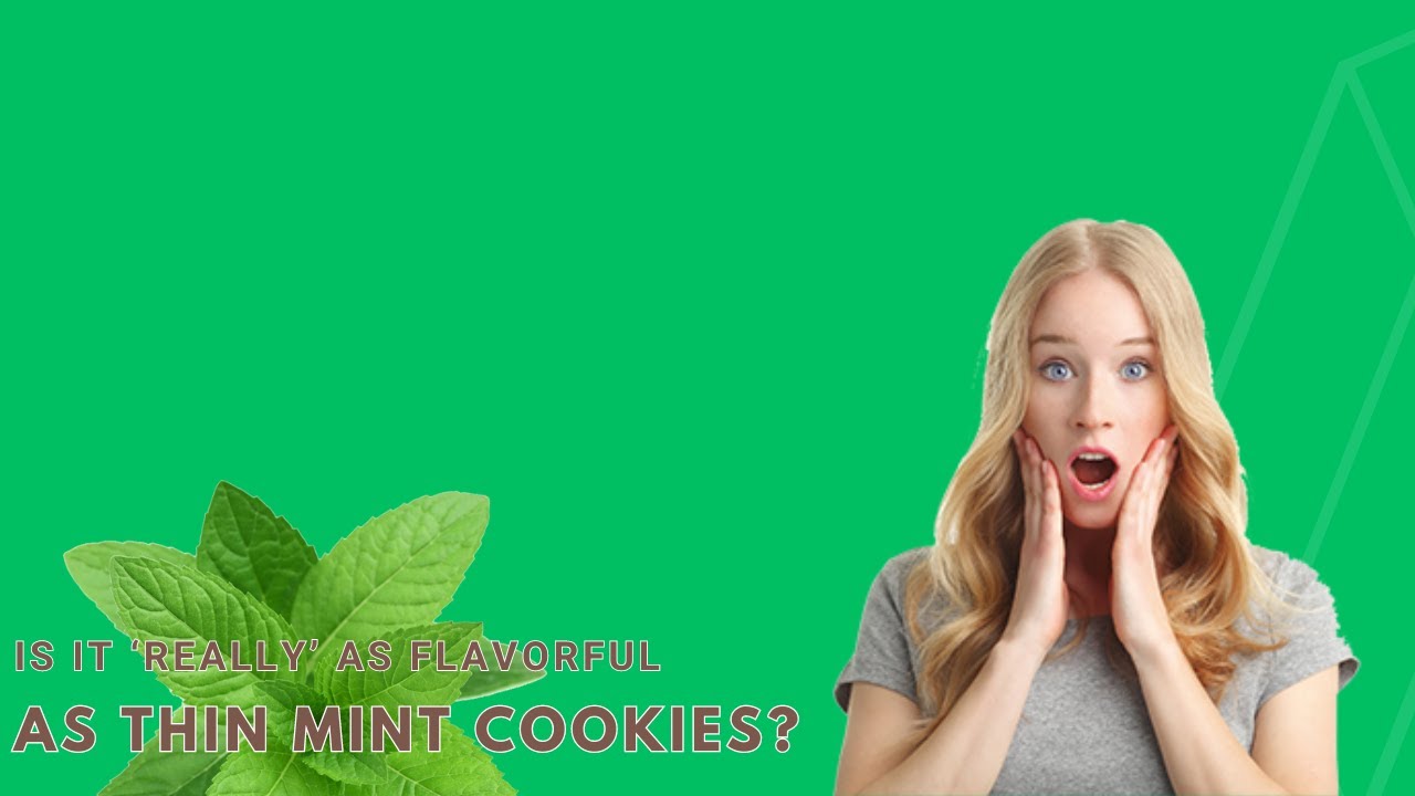 Are These Girl Scout Thin Mint Bites Really Good??? - YouTube
