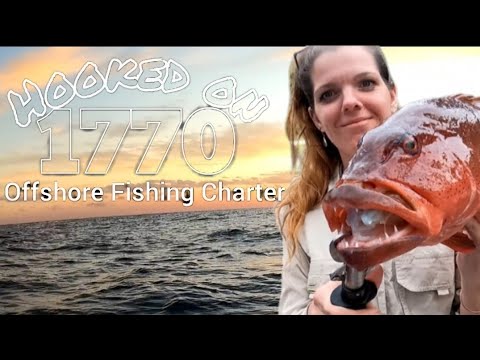 Reef Fishing with Hooked on 1770 Offshore Charters #agneswater #1770 # ...