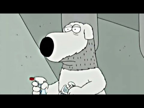 Family Guy Homeless Brian - YouTube