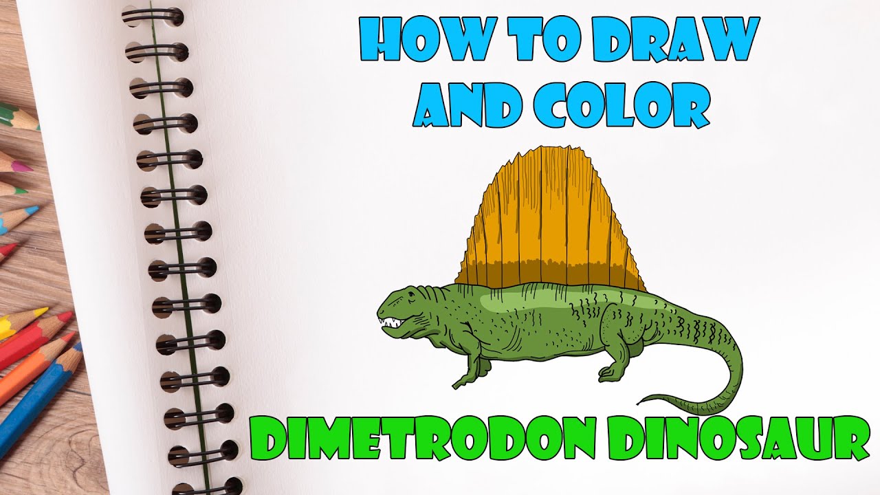 How To Draw And Color A Dimetrodon Dinosaur Step By Step Guide | Easy ...