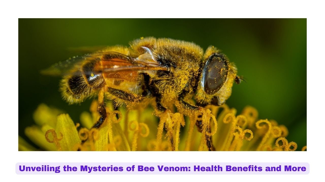 Unveiling the Mysteries of Bee Venom: Health Benefits and More! - YouTube